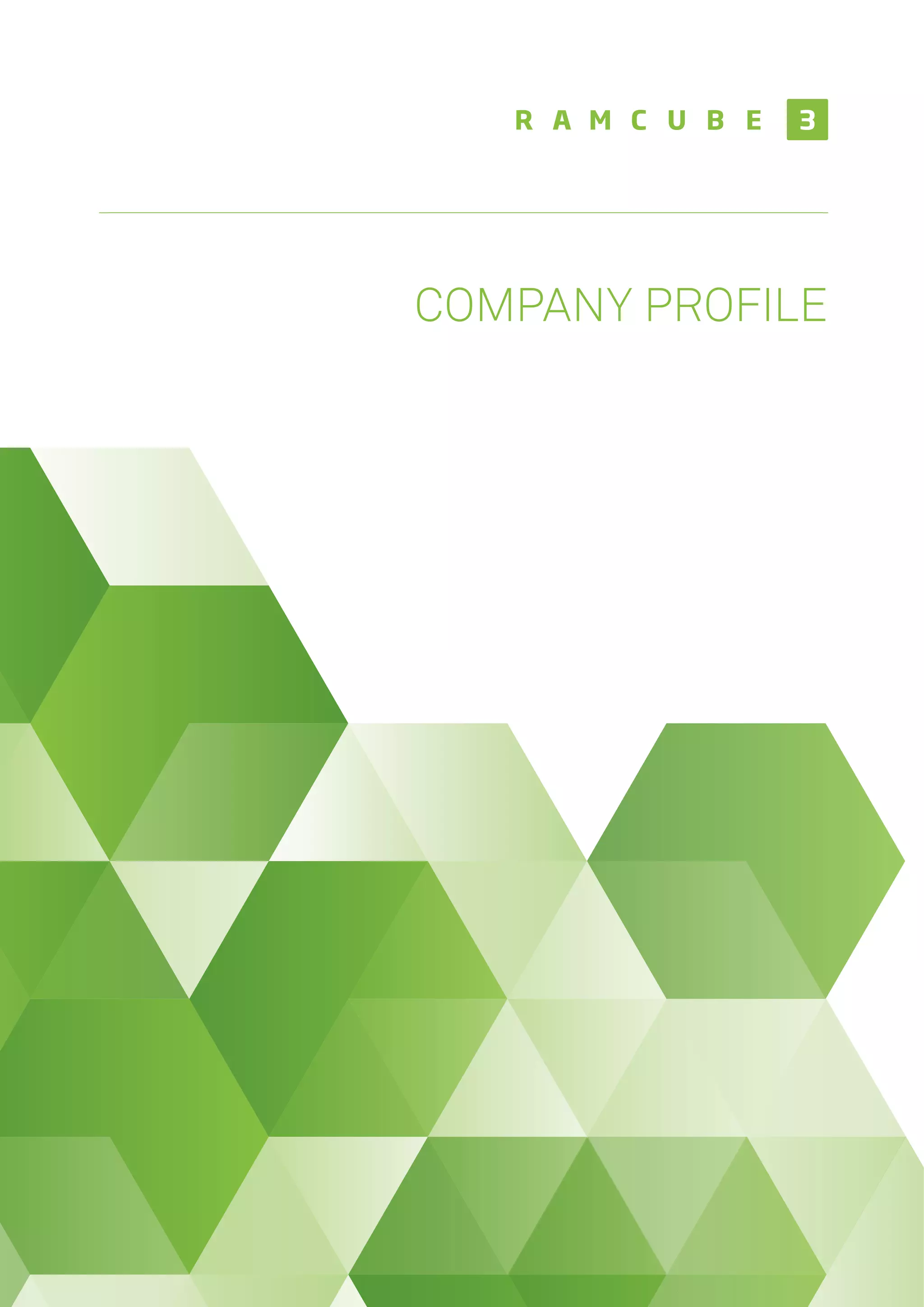 RAMCUBE - Company profile | PDF