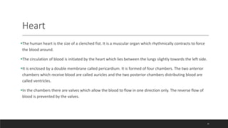 Circulatory system for Class 8 | PPTX | Blood Disorders | Diseases and ...