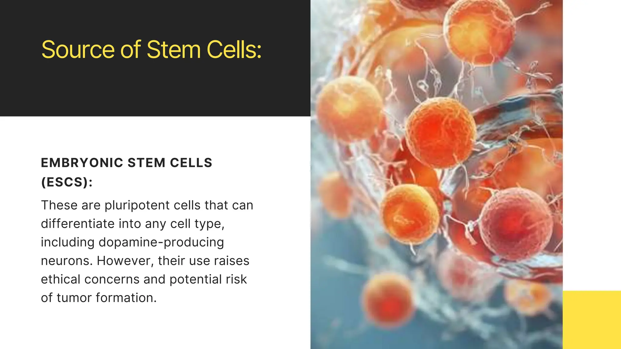 R3 Stem Cell Innovations: A New Era in Parkinson's Disease Therapy | PPT