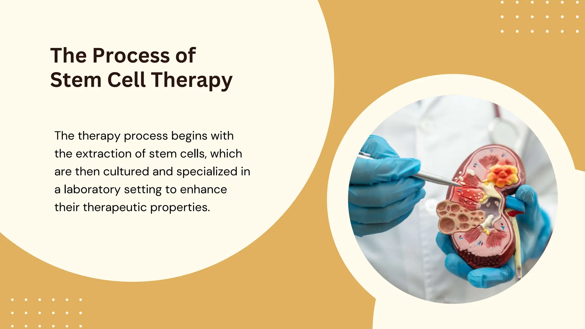 R3 Stem Cells and Kidney Repair A New Horizon in Nephrology.pptx