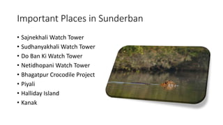 Sunderbans Tiger Reserve, India | PPTX
