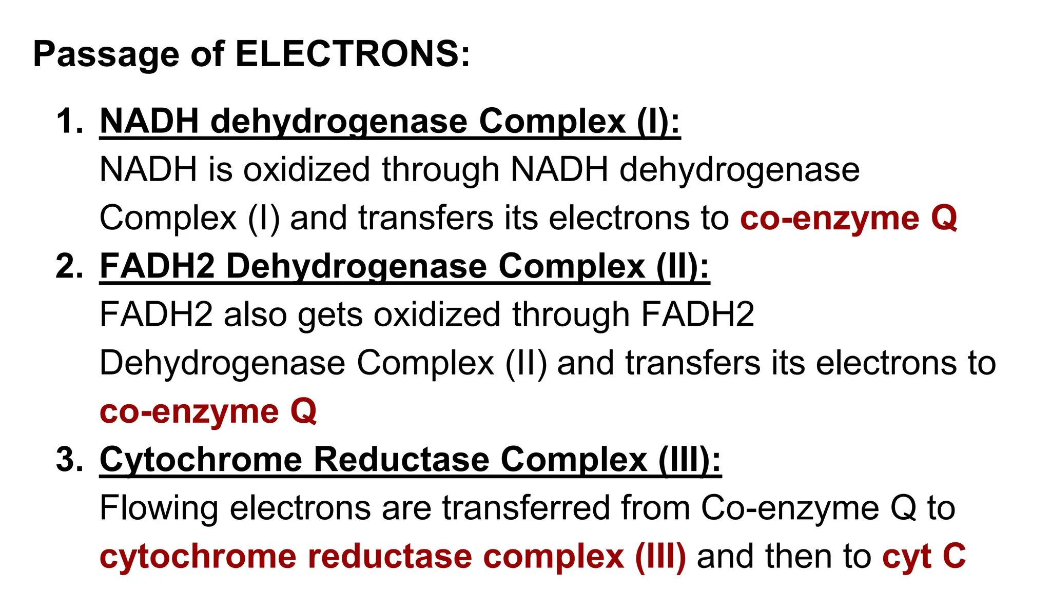 Electron Transport chain, components of ETC, chemiosmosis | PPTX