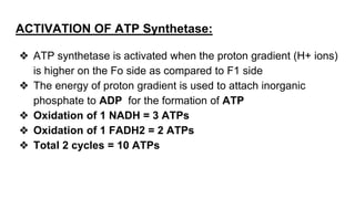 Electron Transport chain, components of ETC, chemiosmosis | PPTX