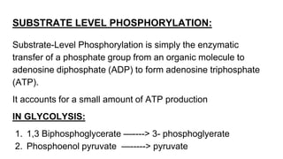 Electron Transport chain, components of ETC, chemiosmosis | PPTX