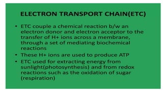 Electron Transport chain, components of ETC, chemiosmosis | PPTX