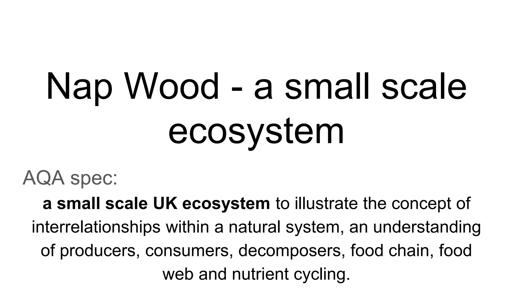 AQA GCSE geography the living world: Nap Wood, an ecosystem | PPTX