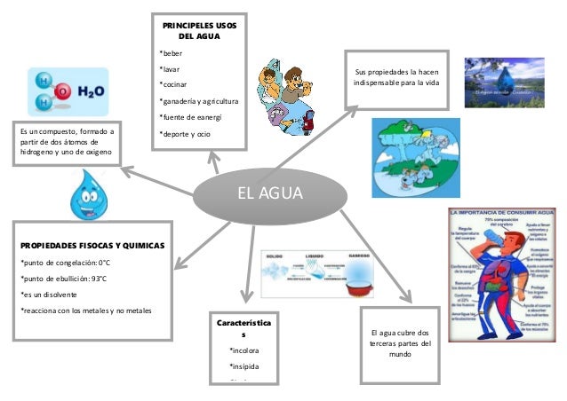 Mapa Mental Del Agua