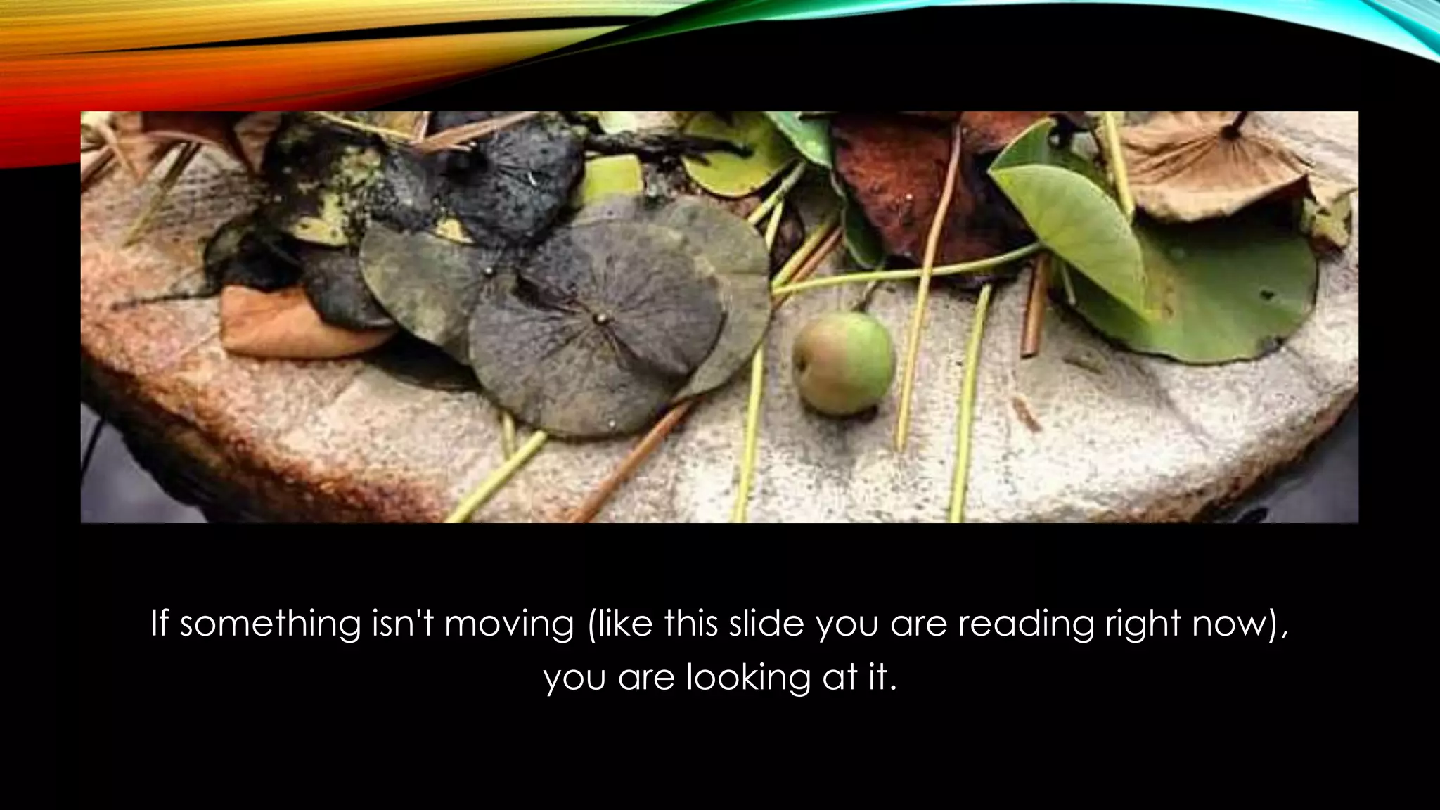 Teacher version: Look, Watch, See, Lesson 1 of Misused and ...