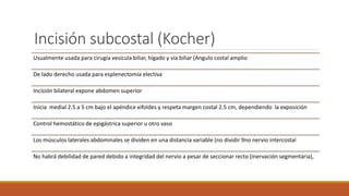 Incisiones y cierres | PPTX
