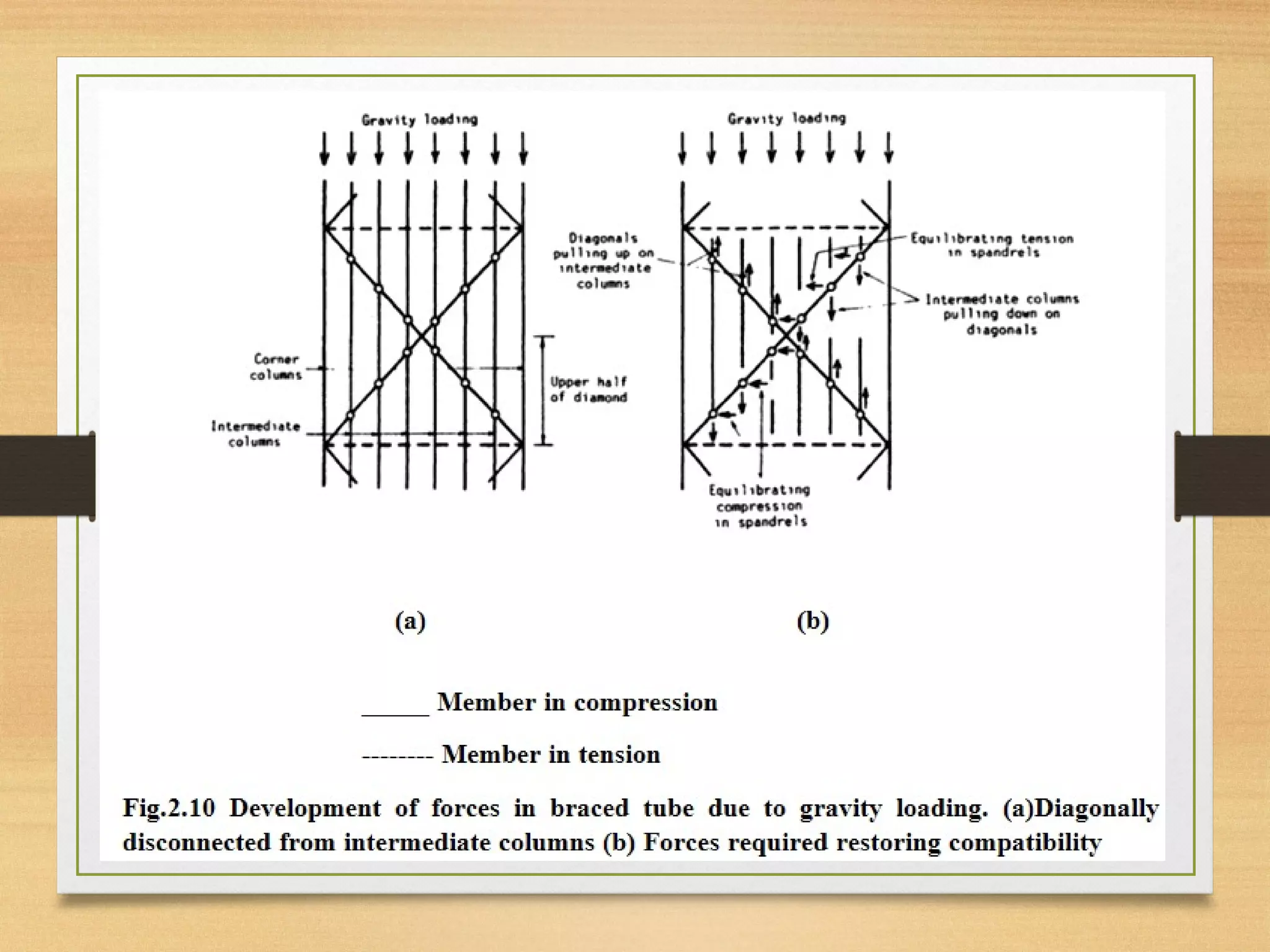 Tube structures and its type with comparison . | PPT