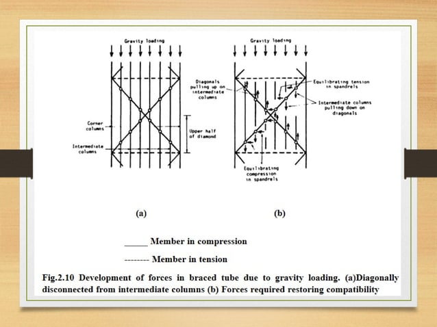 Tube structures and its type with comparison . | PPT | Physics | Science