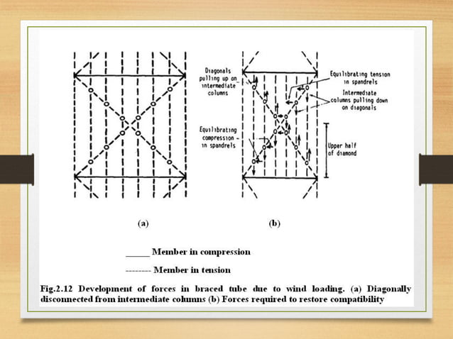 Tube structures and its type with comparison . | PPT | Physics | Science