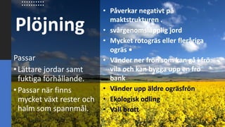 Jordbearbetning vid raps och rybs odling, Sarbast Wali | PDF | Agriculture | Industries