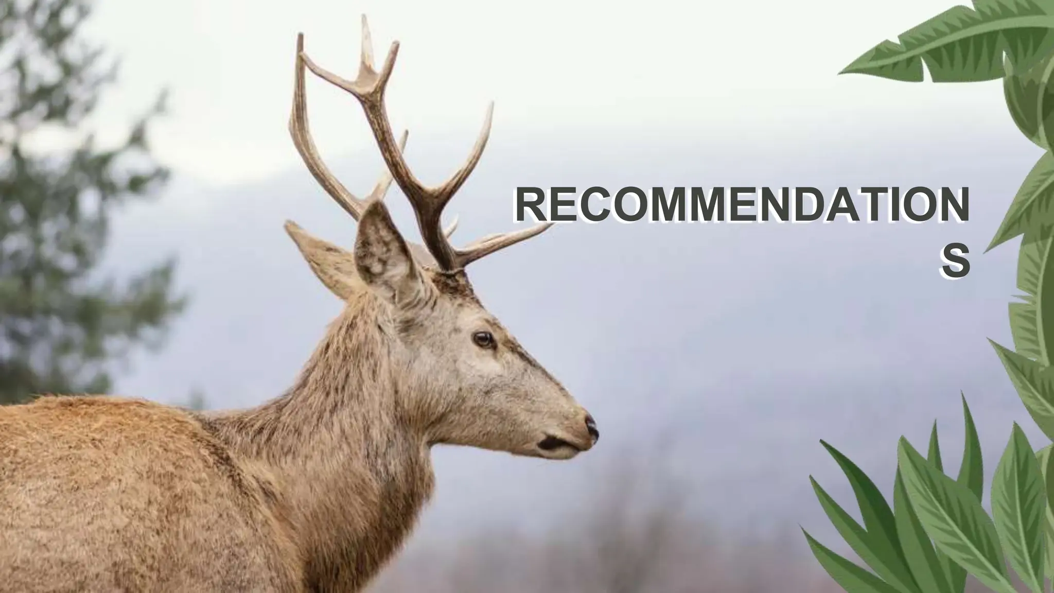 Republic Act. No. 9147 or the Wildlife Resources Conservation and ...