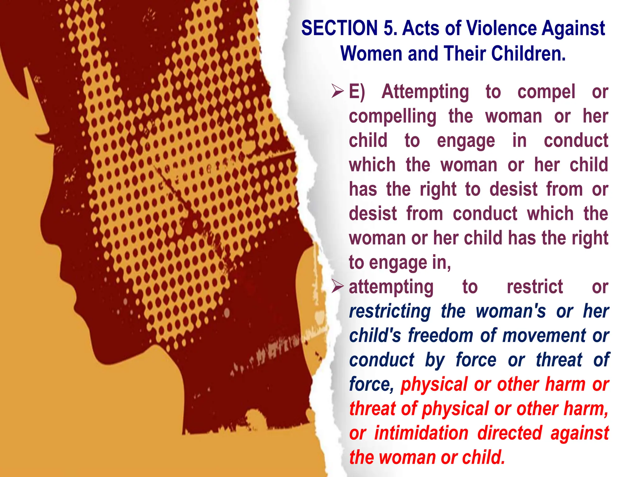 RA-9262-Anti- Violence Against Women and Their Children Act of 2004-ppt ...