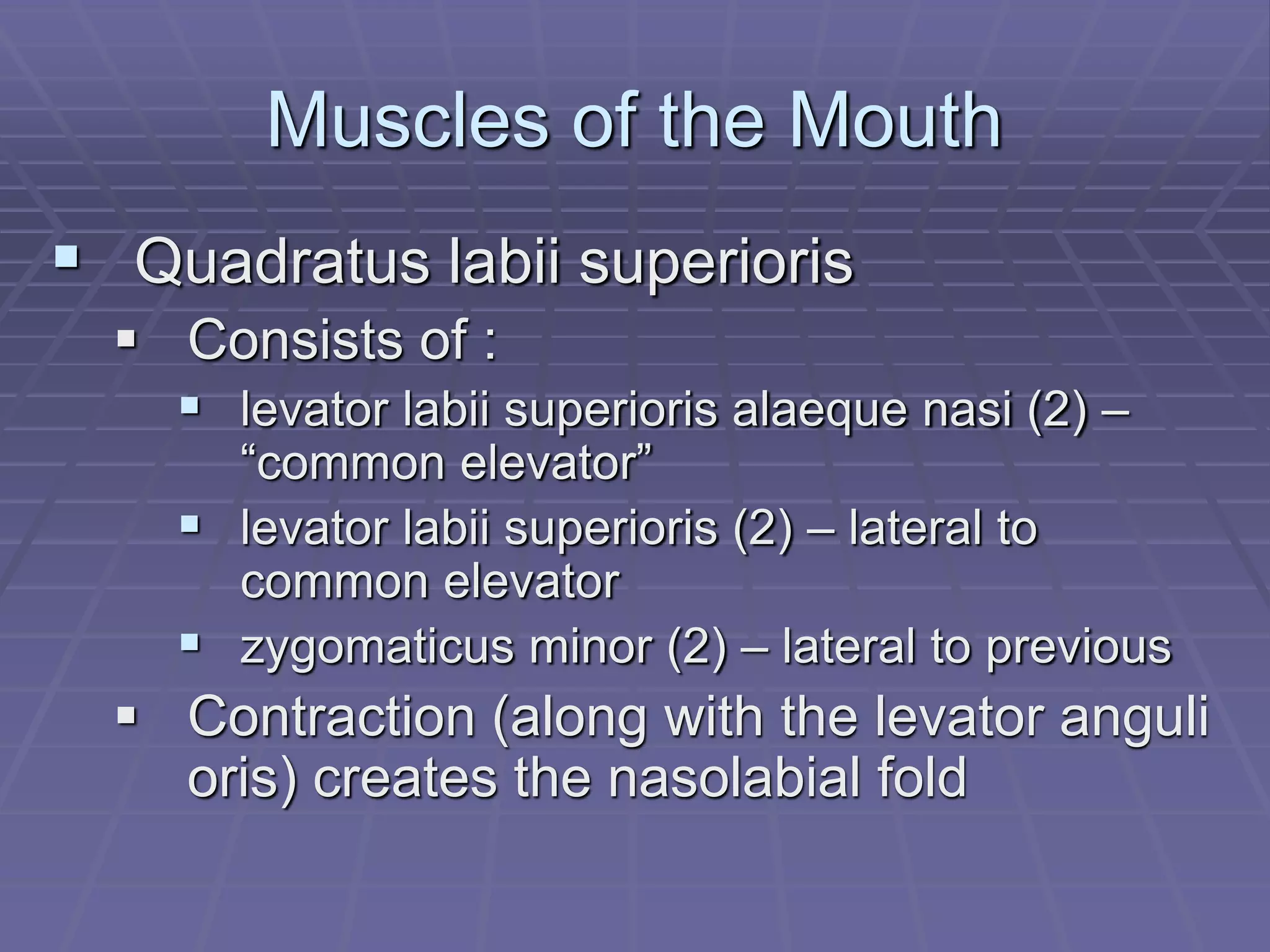 Ra lecture - muscles of the face | PPTX