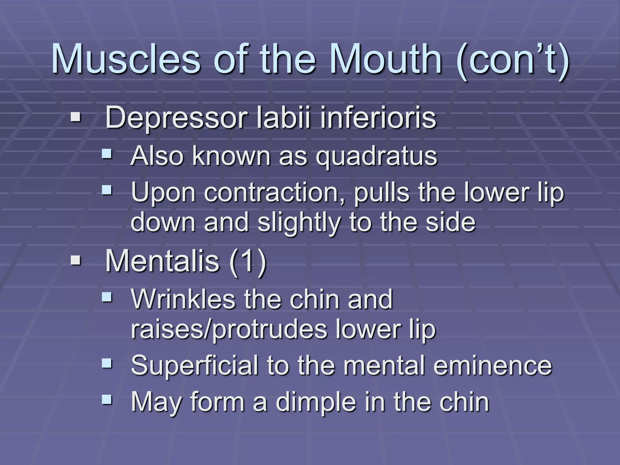 Ra lecture - muscles of the face | PPTX