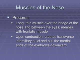 Ra lecture - muscles of the face | PPTX