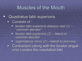 Ra lecture - muscles of the face | PPTX