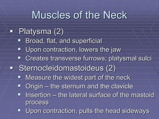 Ra lecture - muscles of the face | PPTX
