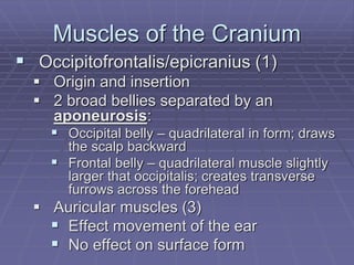Ra lecture - muscles of the face | PPTX