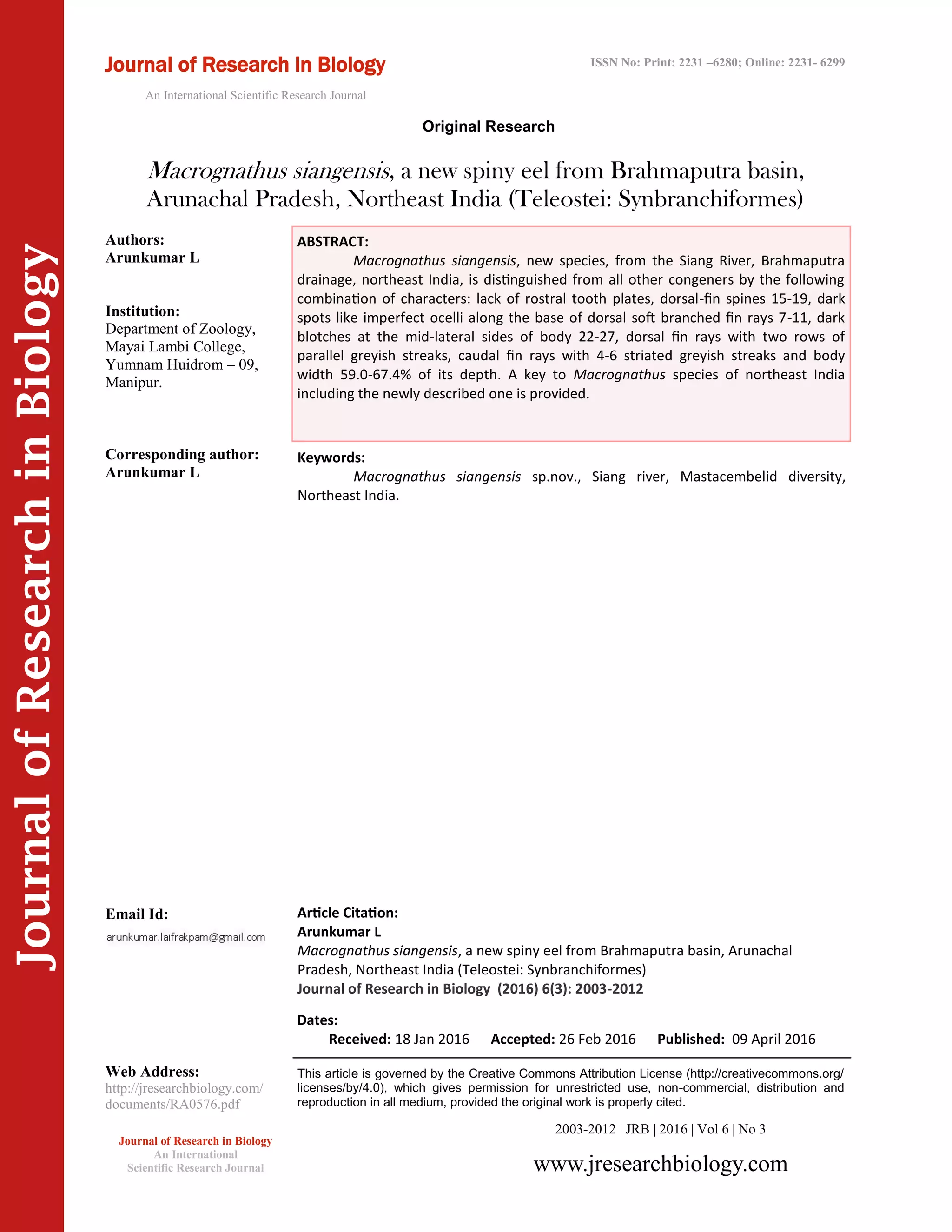 Macrognathus siangensis, a new spiny eel from Brahmaputra basin ...