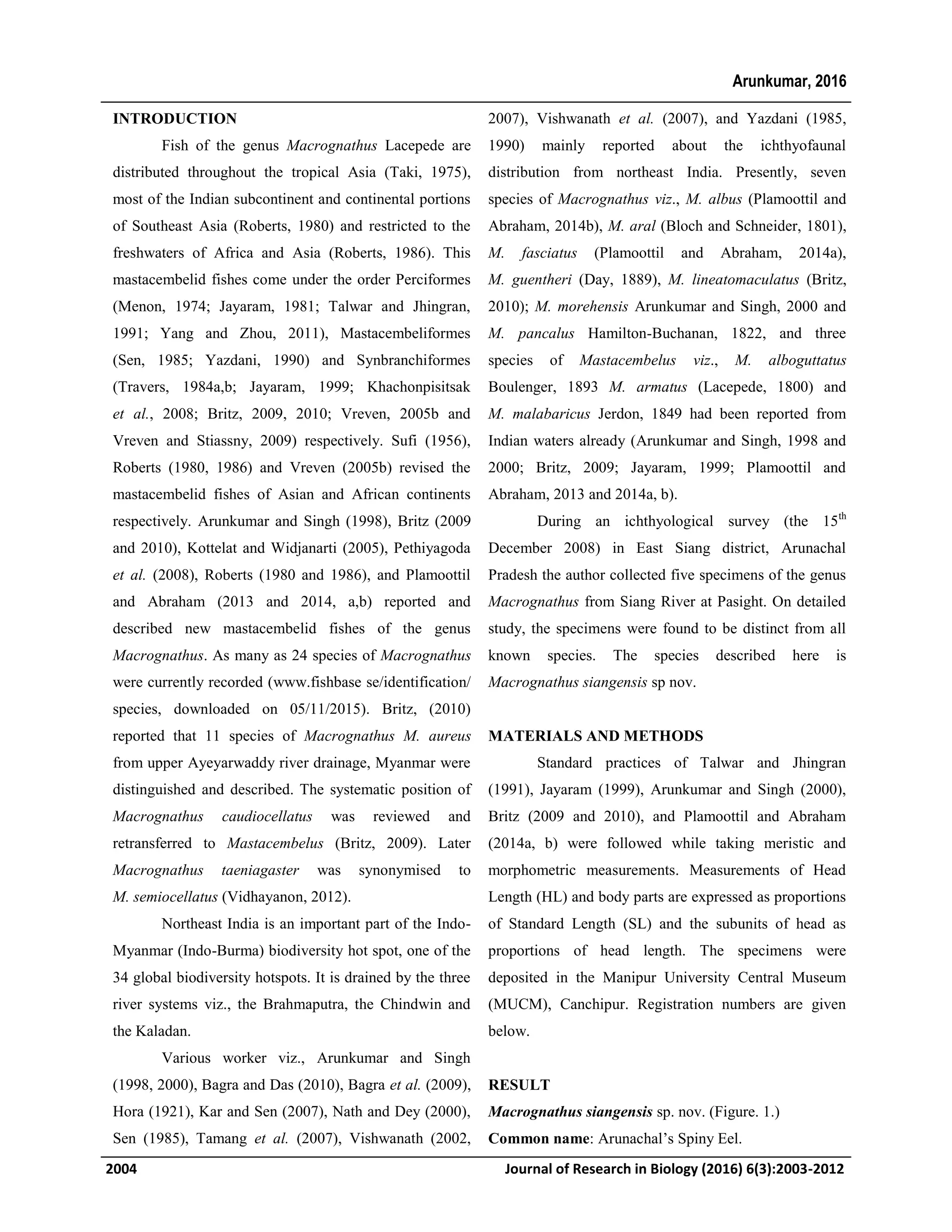 Macrognathus siangensis, a new spiny eel from Brahmaputra basin ...