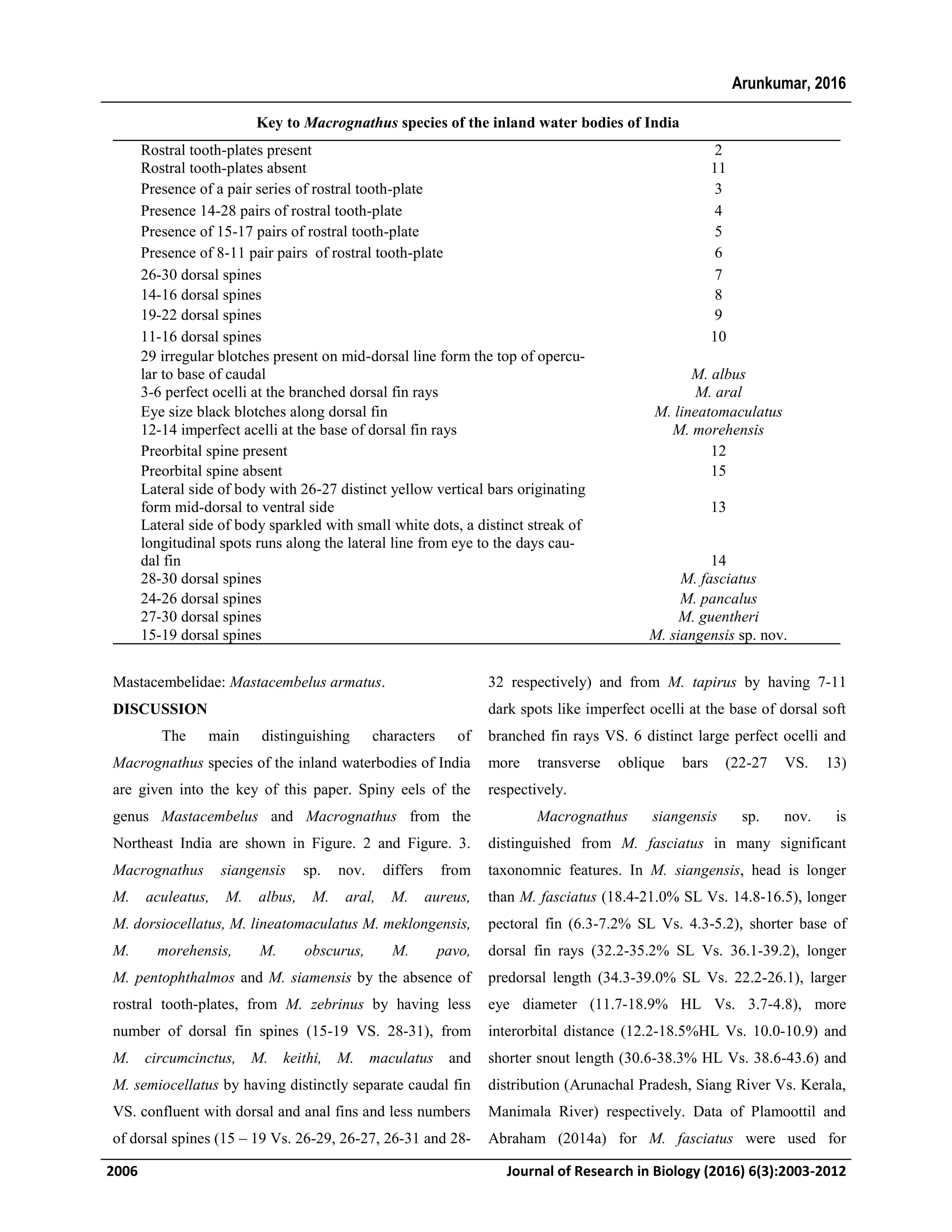 Macrognathus siangensis, a new spiny eel from Brahmaputra basin ...