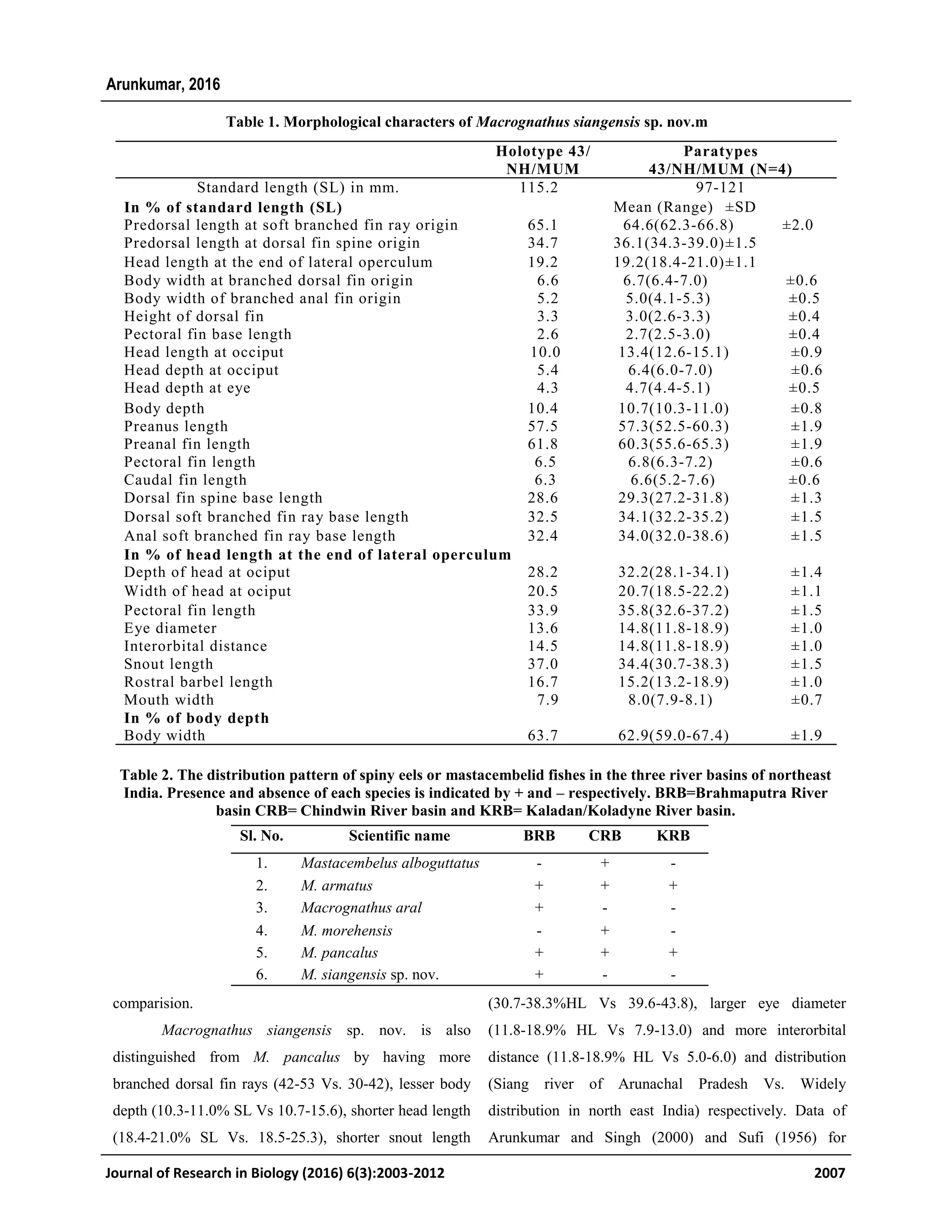 Macrognathus siangensis, a new spiny eel from Brahmaputra basin ...