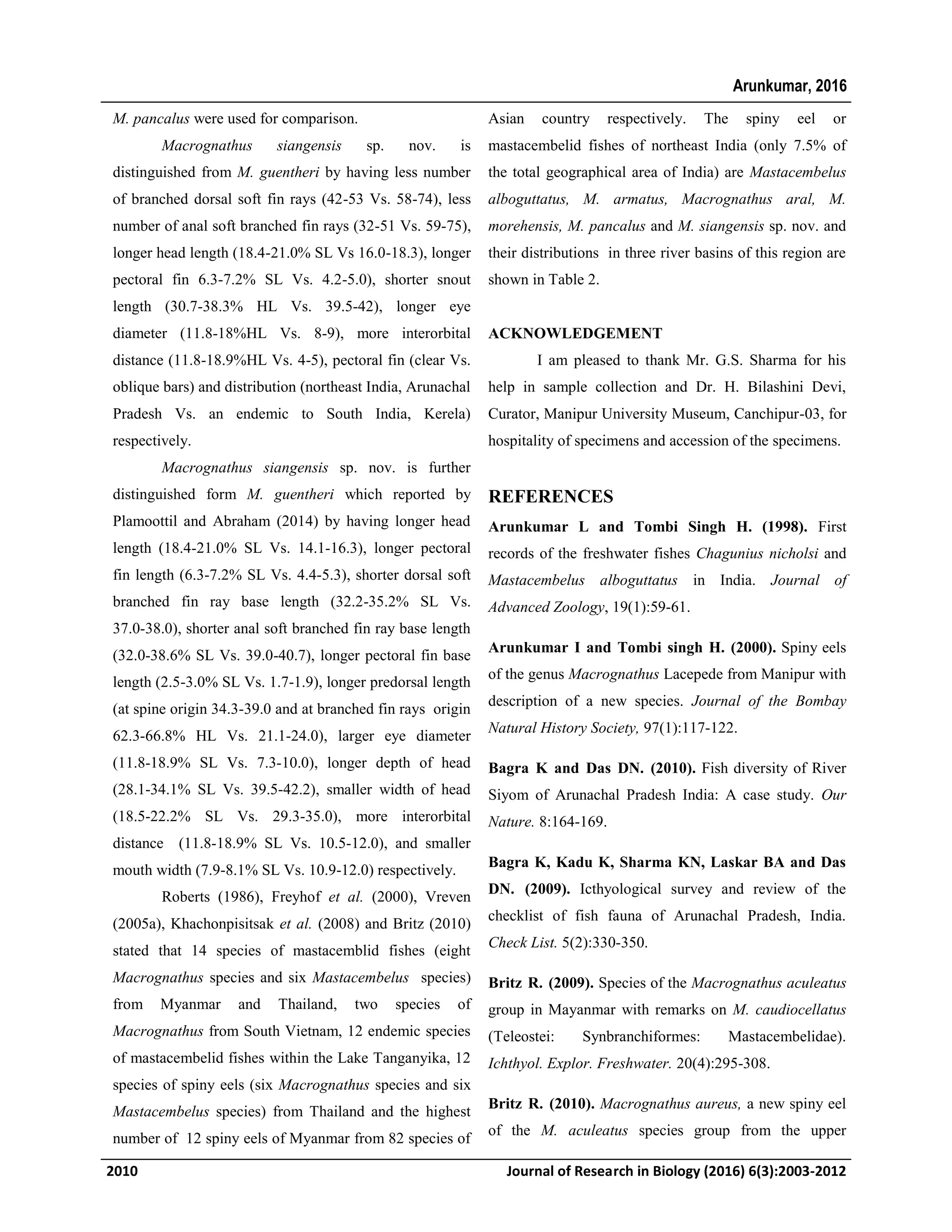Macrognathus siangensis, a new spiny eel from Brahmaputra basin ...