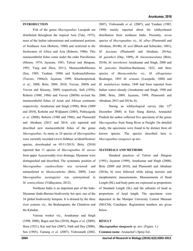 Macrognathus siangensis, a new spiny eel from Brahmaputra basin ...