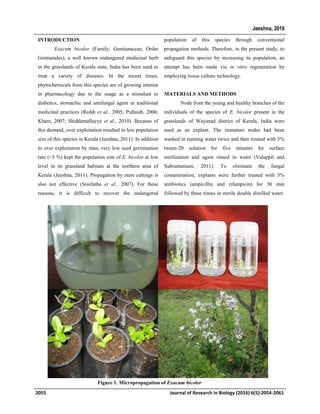 In vitro multiplication of the endangered plant species, Exacum bicolor ...