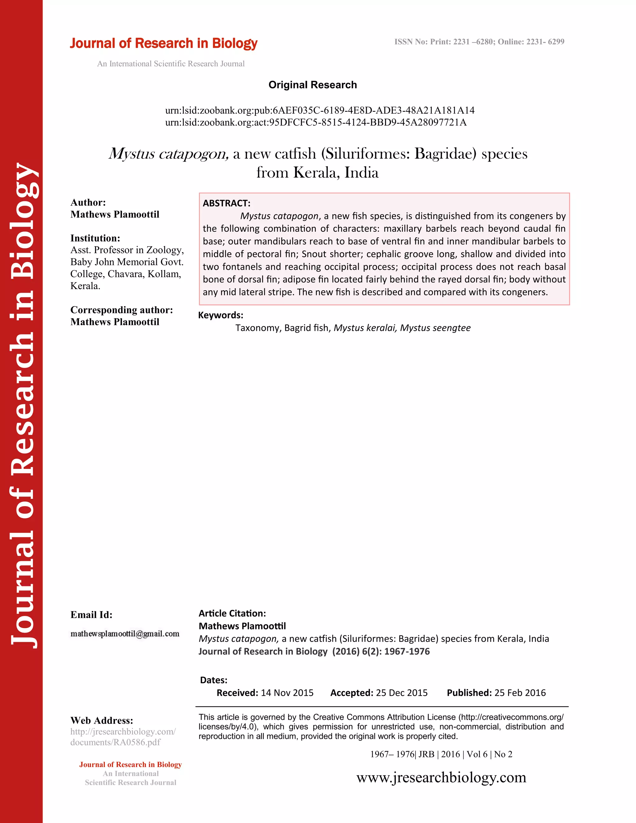 Mystus catapogon, a new catfish (Siluriformes: Bagridae) species from ...