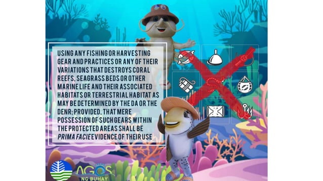 RA 11038 E-NIPAS Prohibited Acts of 2018 | PPTX