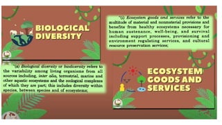 RA 11038 E-NIPAS Prohibited Acts of 2018 | PPTX