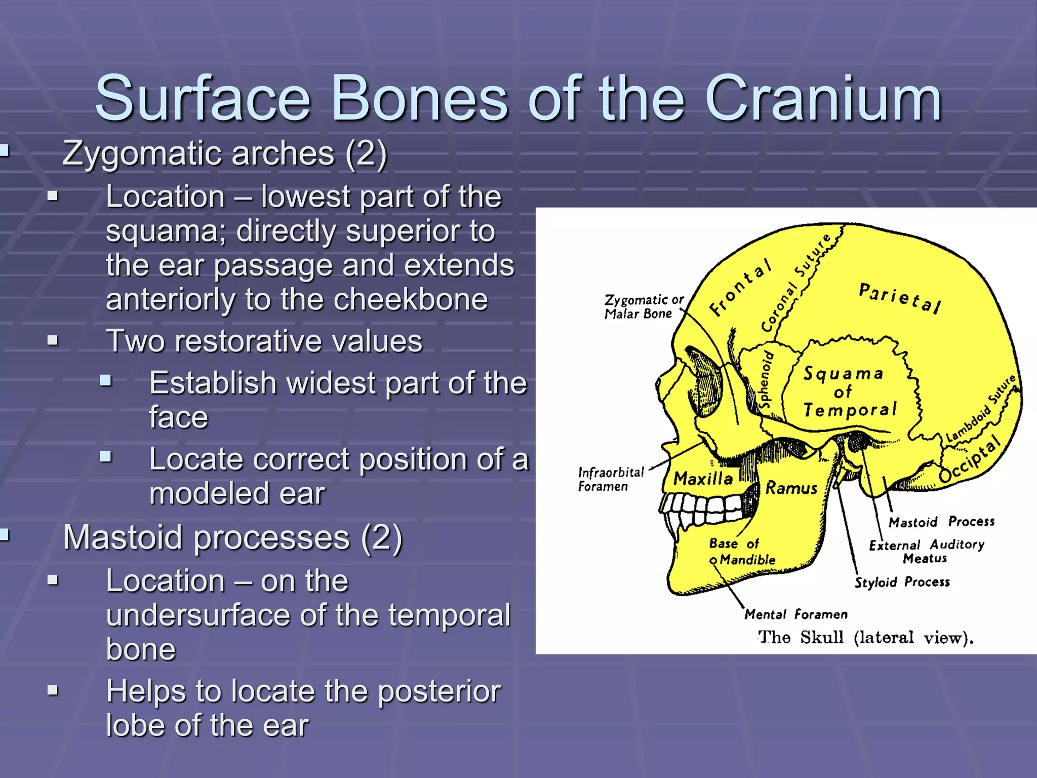 Restorative Art | PPT