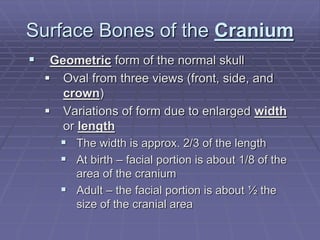 Restorative Art | PPT