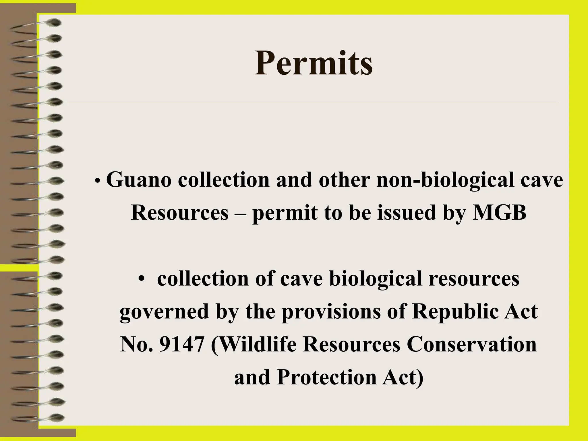 RA 9072 Cave ACt.ppt