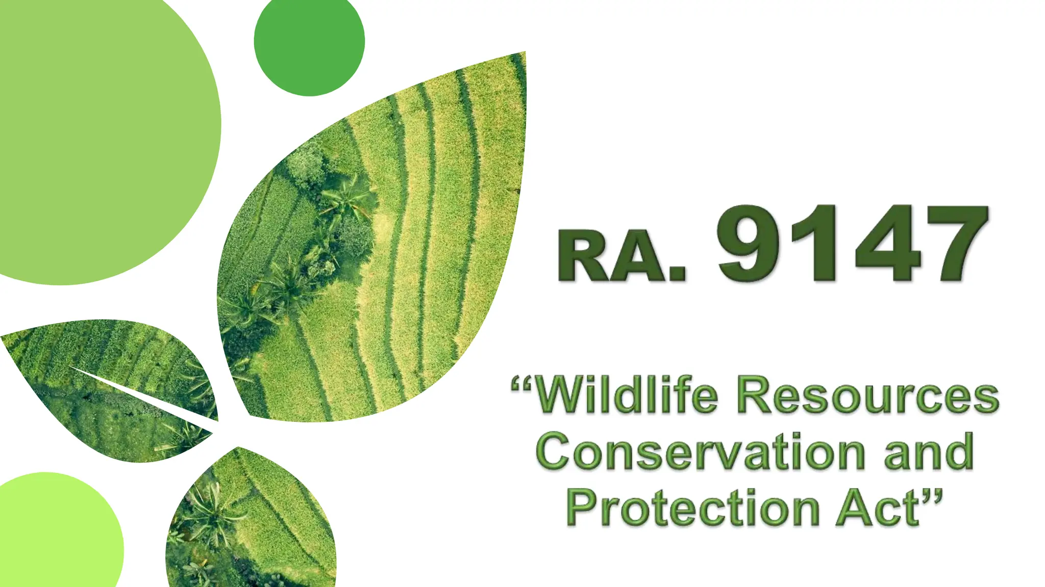 Republic Act 9147 ( PROTECTION OF WILDLIFE RESORCES).pptx