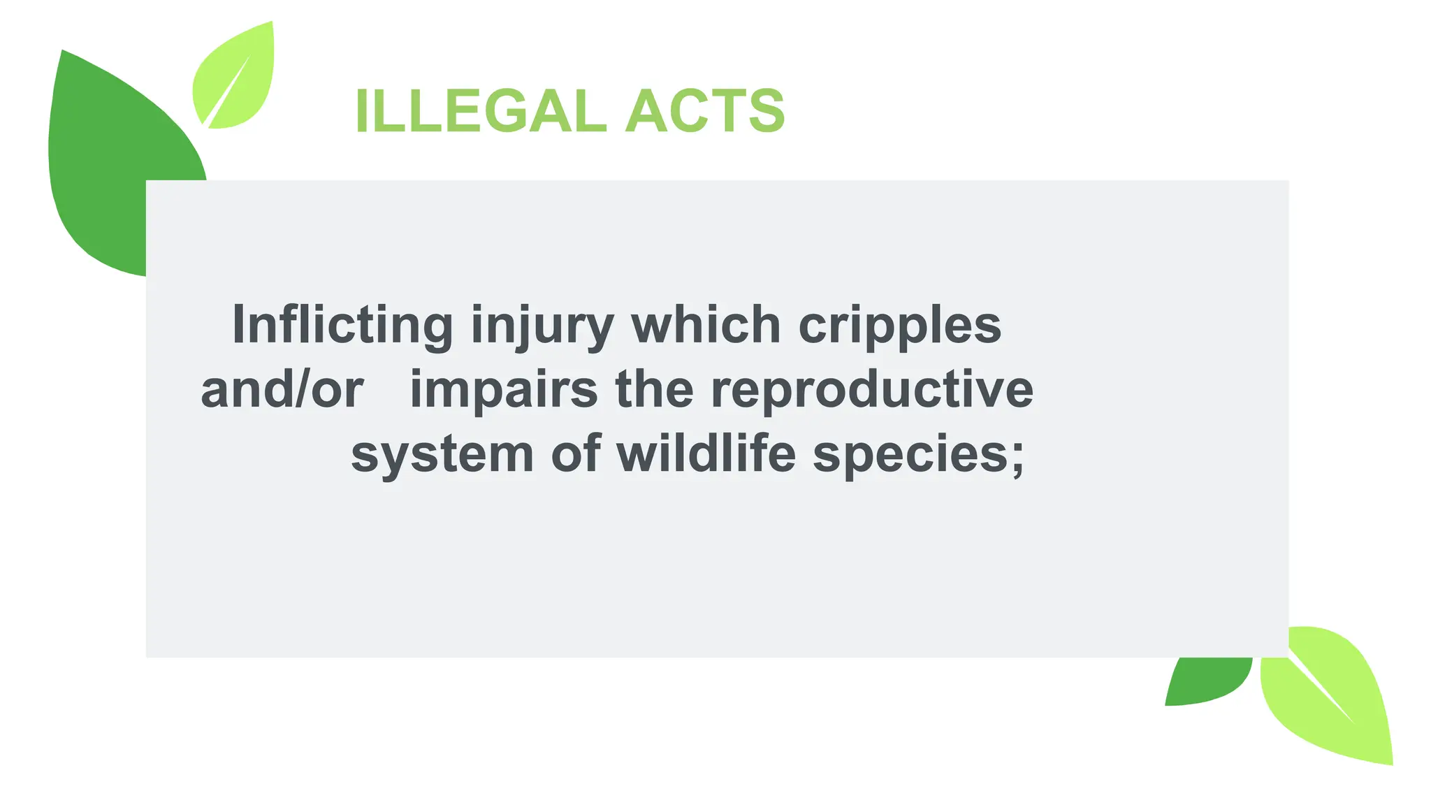Republic Act 9147 ( PROTECTION OF WILDLIFE RESORCES).pptx