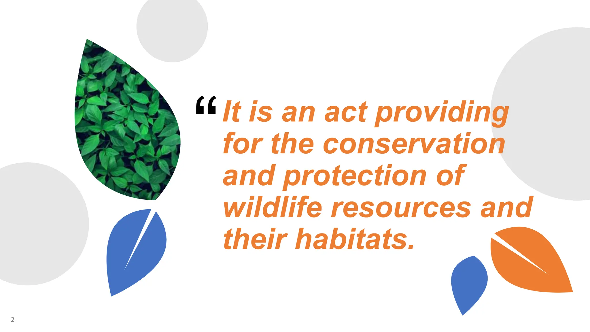 Republic Act 9147 ( PROTECTION OF WILDLIFE RESORCES).pptx