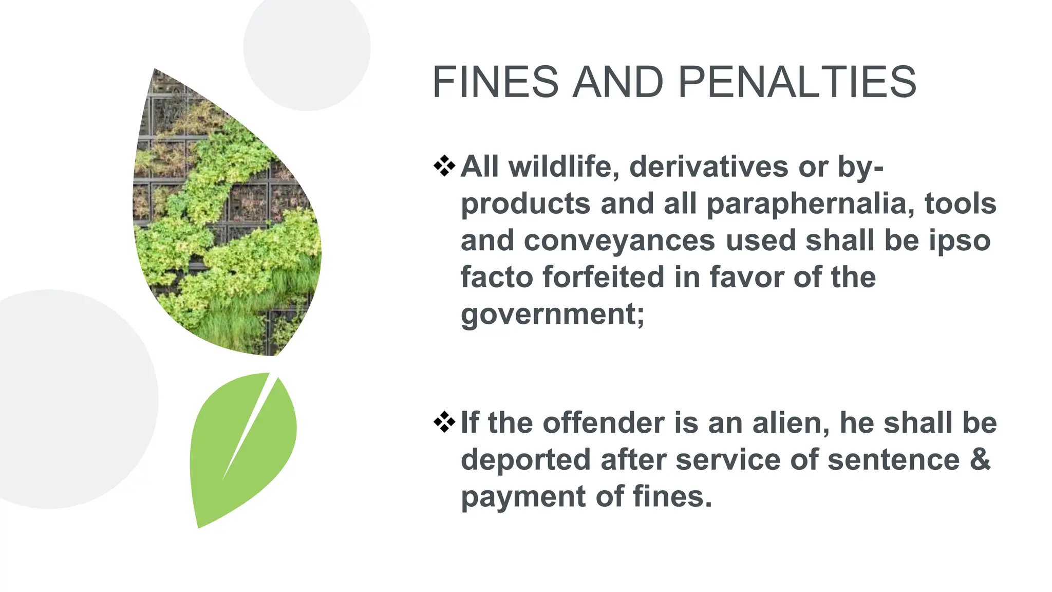Republic Act 9147 ( PROTECTION OF WILDLIFE RESORCES).pptx