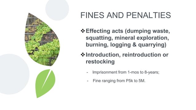 Republic Act 9147 ( PROTECTION OF WILDLIFE RESORCES).pptx