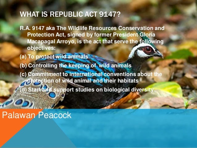 The RA 9147 and Its Use on The Four Core Values