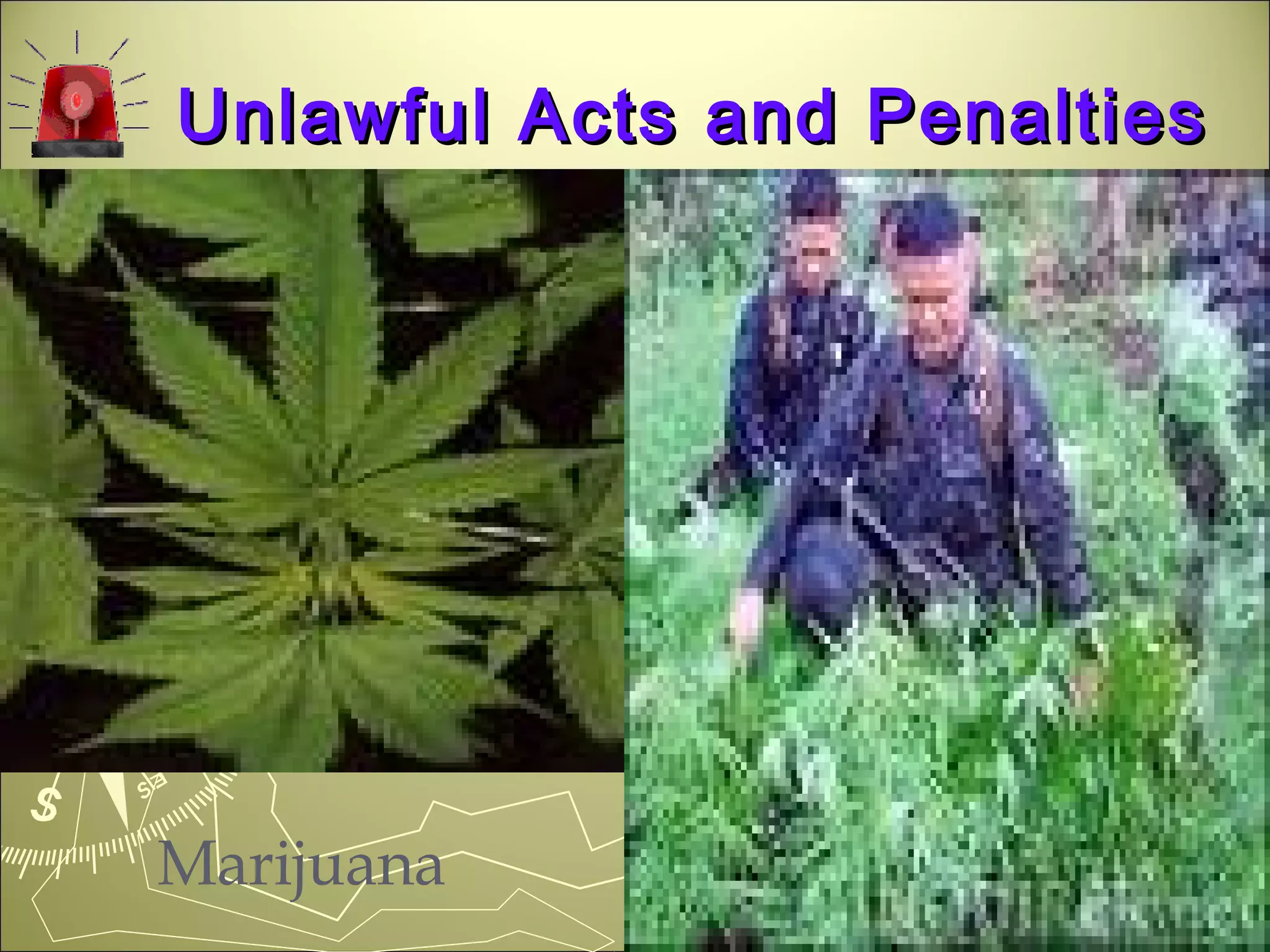 Ra9165presentation | PPT