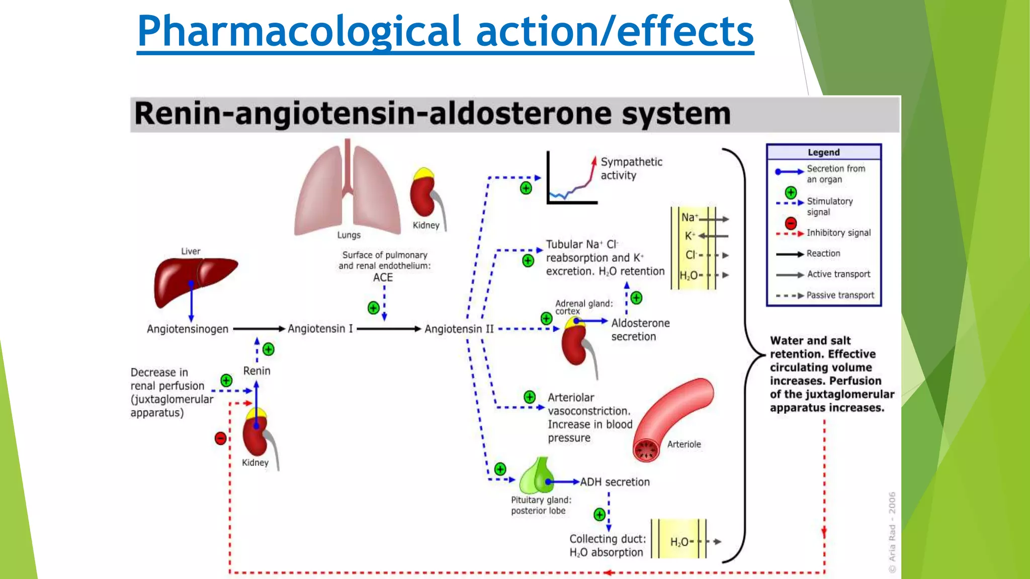 Drugs acting on Renin Angiotensin Aldosterone system | PPTX