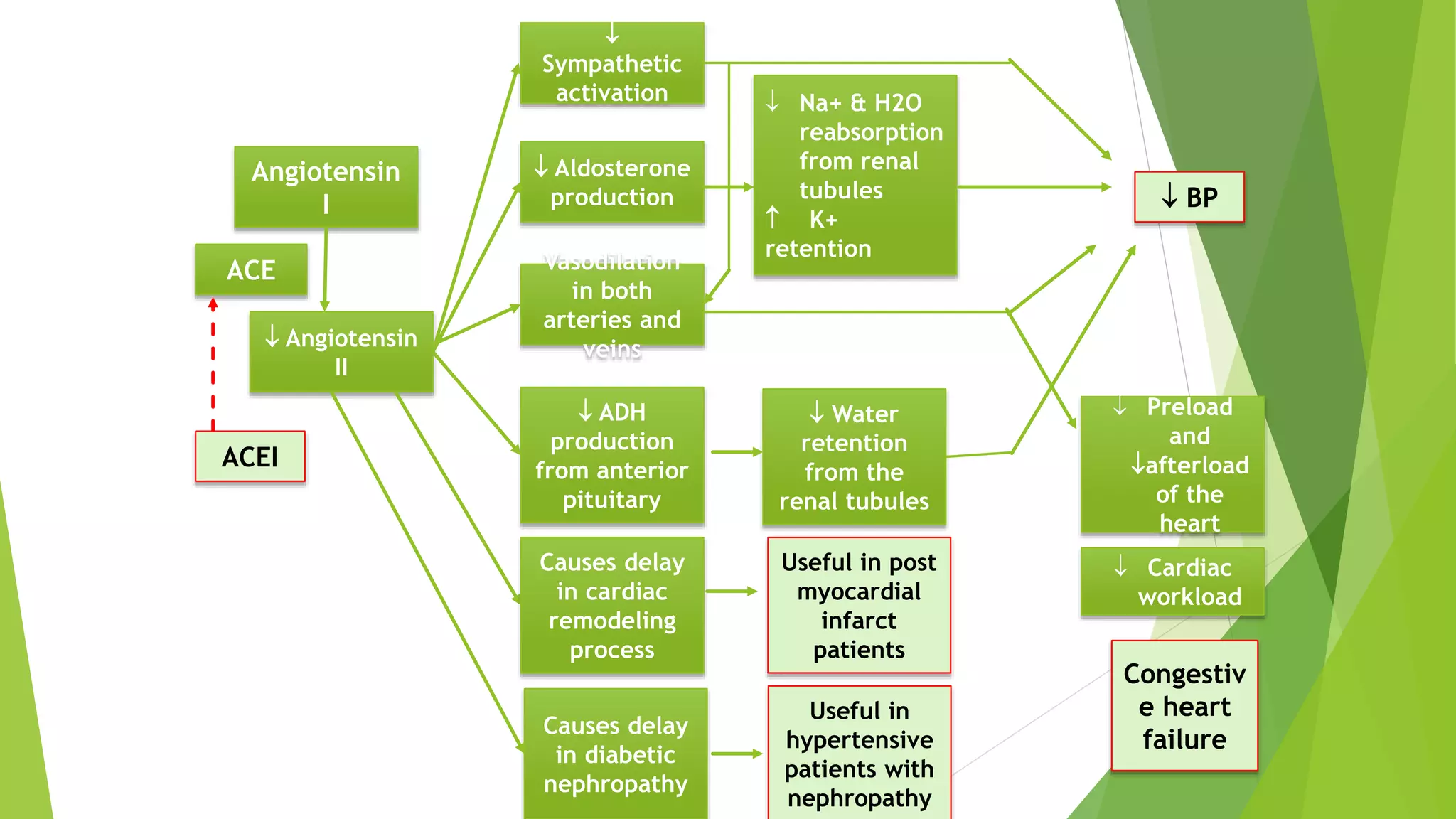 Drugs acting on Renin Angiotensin Aldosterone system | PPTX