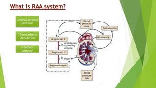 Drugs acting on Renin Angiotensin Aldosterone system | PPTX