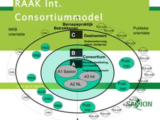 RAAK Int, Lectorenplatform 280909 | PPT