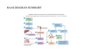 Renin angiotensin aldosterone system | PPTX